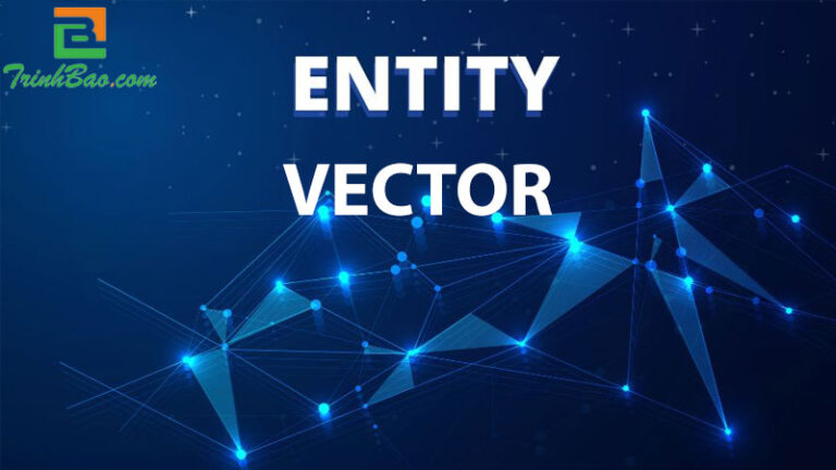 Entity Vector là gì? Có lợi ích gì với SEO?